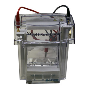 Novex XCell SureLock Electrophoresis System. For Sale, Price, Service ...