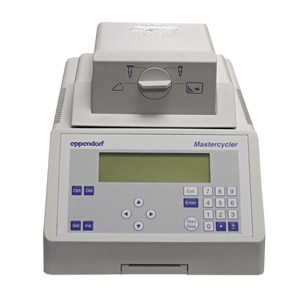 Eppendorf Mastercycler DNA Engine Thermal Cycler PCR. For Sale, Price ...